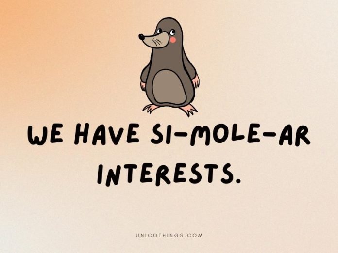 99 Funny Mole Puns That Are Hilarious to Read