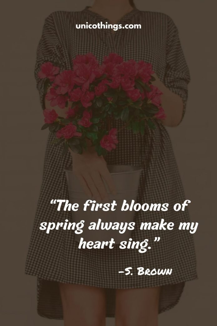 55 Inspirational Spring Quotes For Celebrating Life (2024)