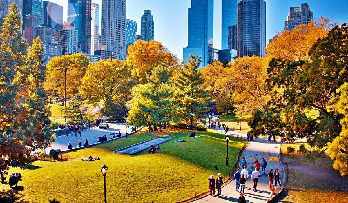 100 Best Central Park Captions for Instagram
