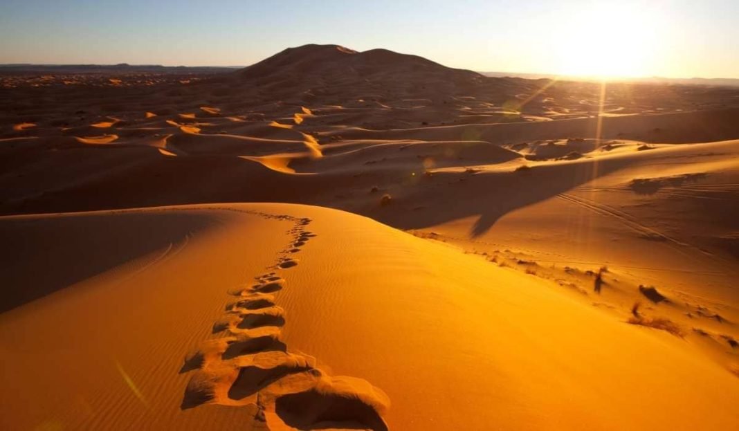 99 Best Desert Captions for Instagram