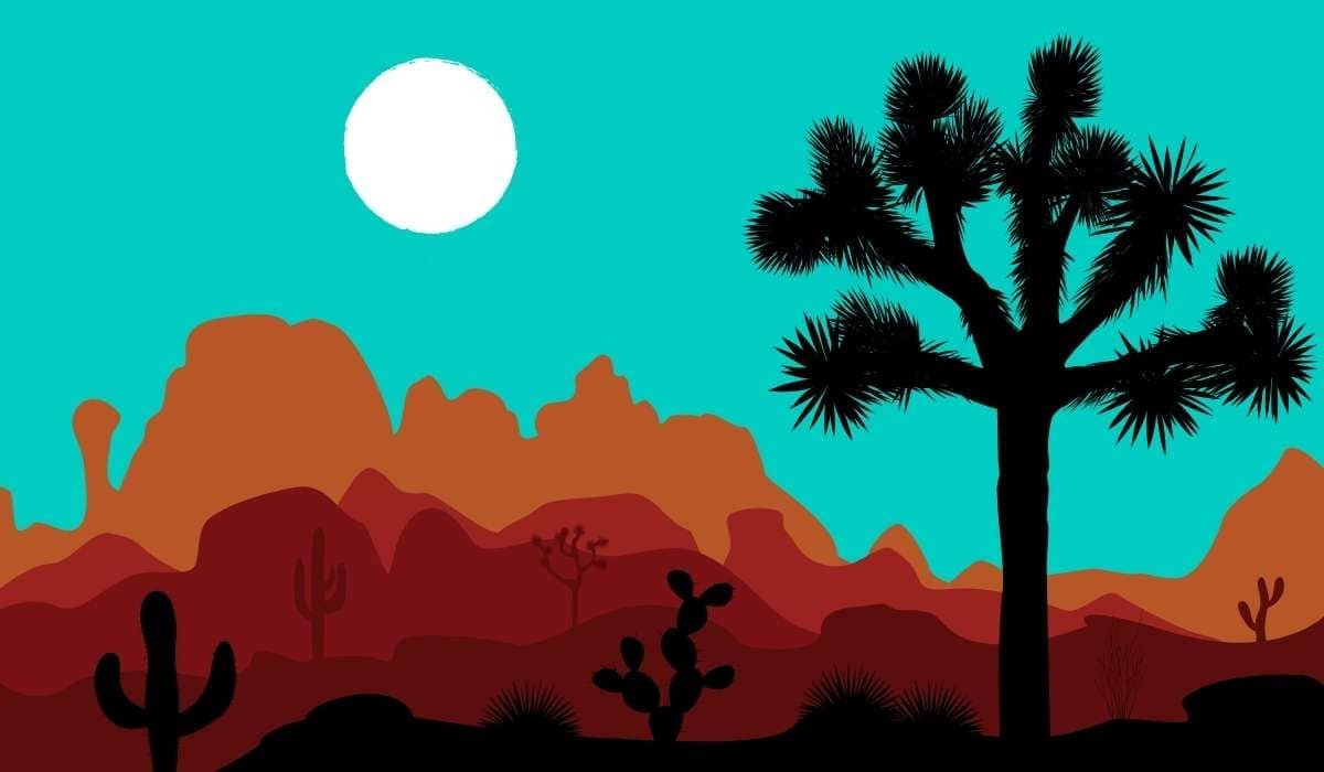 100 Best Joshua Tree Captions for Instagram