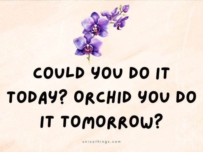 111+ Flower Puns to Convey a Good Laugh