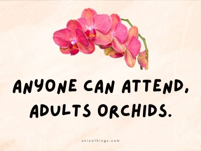 111+ Flower Puns to Convey a Good Laugh