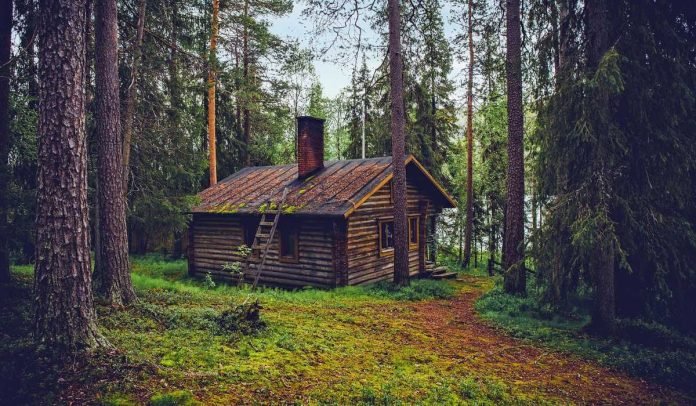 79 Cabin in the Woods Captions for Instagram
