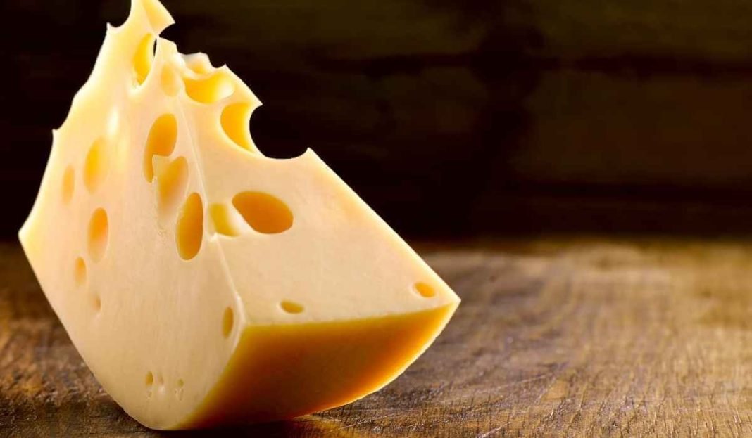 130 Best Cheese Captions for Instagram
