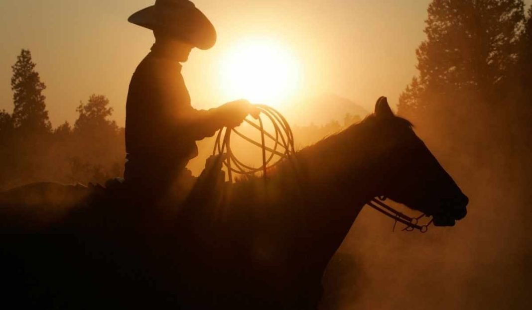 100 Best Cowboy Captions for Instagram