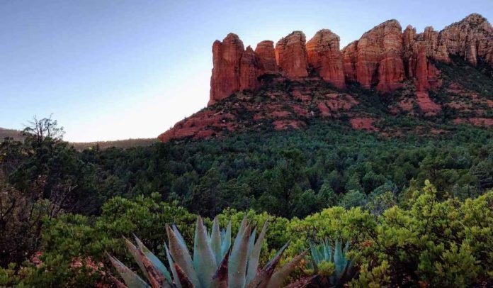 150 Coconino National Forest Captions for Your Red Rock Views