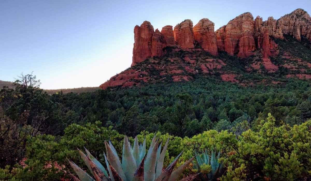 150 Coconino National Forest Captions for Your Red Rock Views